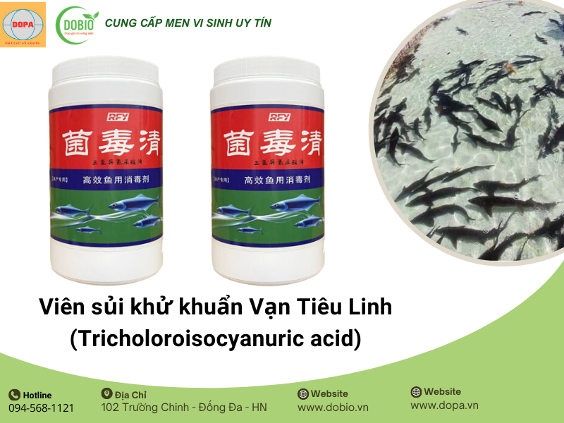 5 Lý Do Viên Sui Khử Khuẩn Vạn Tiêu Linh Là Giải Pháp Tối Ưu Cho Ao ...