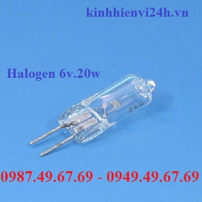 Bóng đèn Halogen kính hiển vi