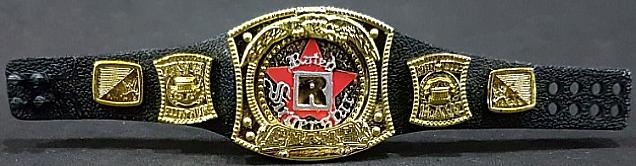 ĐAI MÔ HÌNH WWE CHAMPION SPINNER RATED R SUPERSTAR EDGE (ELITE)