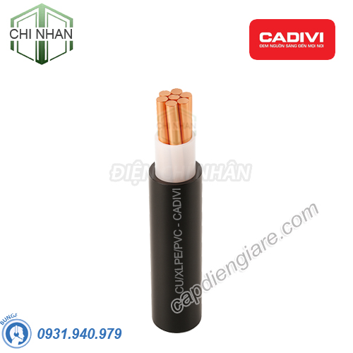 Dây cáp điện 1 lõi Cadivi CXV-10 mm2 – 0.6/1kV Cu/XLPE/PVC - 56002137