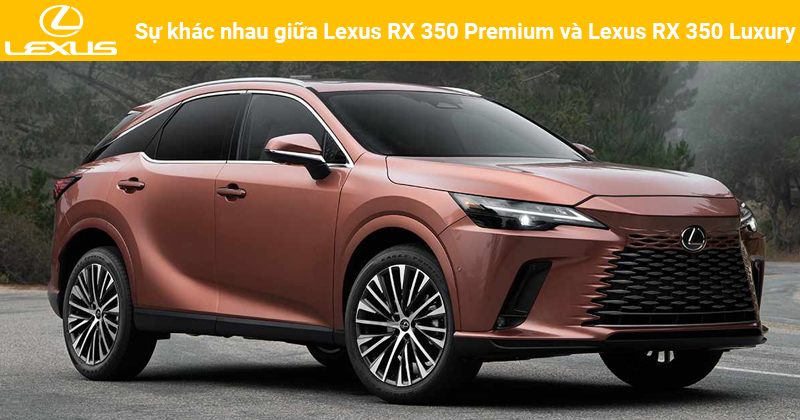 Sự khác nhau giữa Lexus RX 350 Premium và Lexus RX 350 Luxury