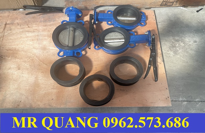 Van cánh bướm DN100, DN125